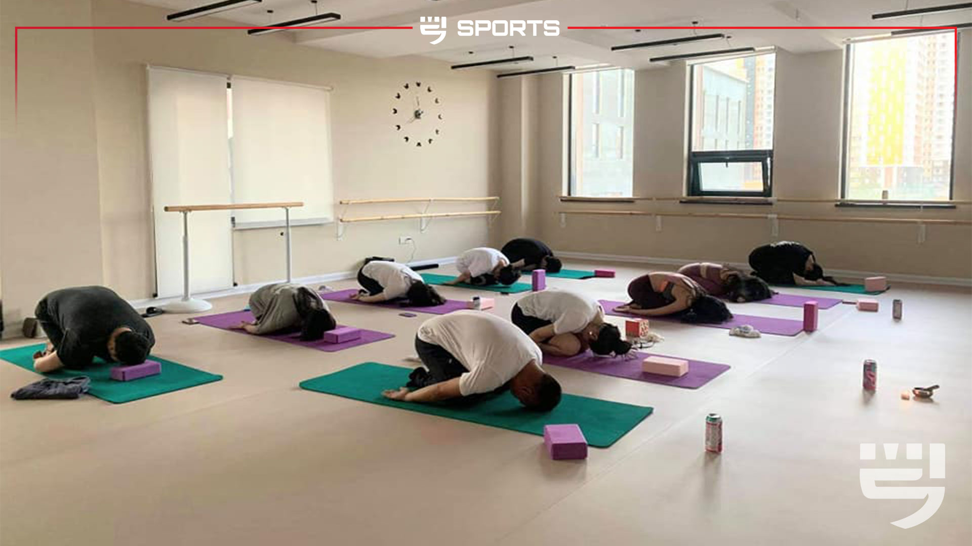 Msports Mn Mонголын спортын шийдэл Mongolian Sport Solution